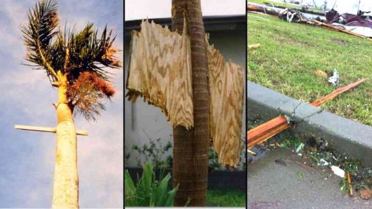 What Are Hurricane Windows? - Paradise Exteriors, LLC